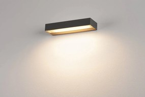 LA 1002069 PEMA® WL, LED venkovní nástěnné nástavbové svítidlo, IP54, antracit, 3000K - BIG WHITE (SLV)