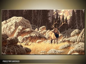 Obraz jelena (), 40 dalších rozměrů