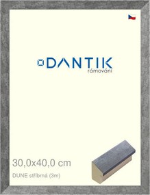 DANTIK rámeček 30x40 | DUNE stříbrná (Plexi Čiré)