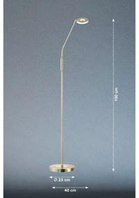 LED stmívatelná stojací lampa ve zlaté barvě (výška 150 cm) Dent – Fischer &amp; Honsel