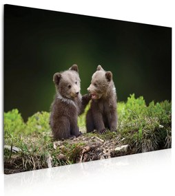 Malvis ® Obraz Medvíďata v lese Velikost (šířka x výška): 60x40 cm