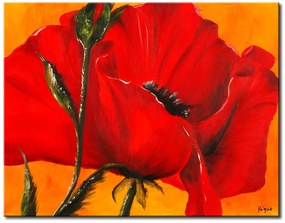 Obraz Mák (1 díl) - příroda s červeným květem na oranžovém pozadí