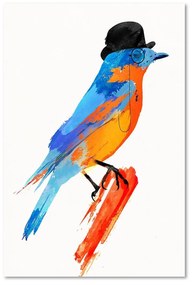Gario Obraz na plátně Barevný pták v klobouku - Robert Farkas Rozměry: 40 x 60 cm
