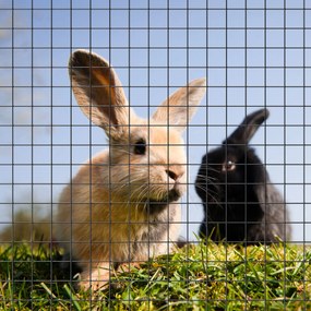 Pletivo pro chov zvířat Wiltec – 50 cm, 25 m, 0,9 mm, černá (62488)
