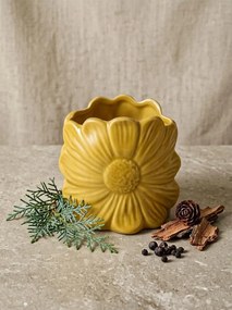 Sinsay - Vonná svíčka Cedarwood & Cypress - hořčicová