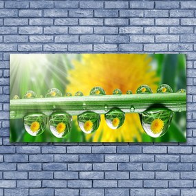 akrylový obraz Stonek Kapky Rosa Rostlina 120x60 cm