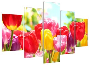Obraz tulipánů  (150x105 cm)