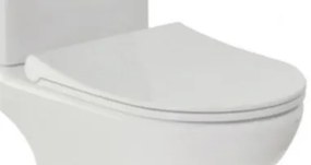 Olsen Spa WC sedátko TRIA SLIM soft-close, oválné OLKGYM00DRP50