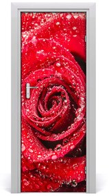 Fototapeta samolepící červená růže 95x205 cm