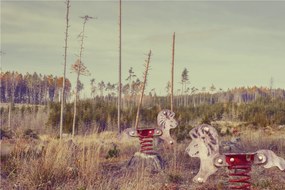Eva Bystrianská | Zde jsou lvi Rám: Černý, Velikost: 70 x 100 cm