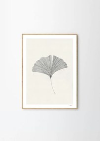 Plakát 50x70 cm Ginkgo Leaf – Ana Frois – The Poster Club