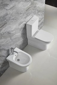 Aqualine JALTA WC kombi 37 x 78,5 x 63 cm Rimless spodní/zadní odpad bílá PB103RW