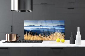 Kuchyňský skleněný panel Pole Krajina 100x50 cm