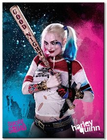 Obraz na plátně DC Comics Suicide Squad (Harley Quinn) 60x80cm WDC99692