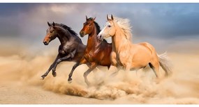 Osuška Divocí koně v poušti, 70 x 140 cm