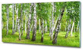 Wallmuralia Fotoobraz na skle Břízový les 100x50