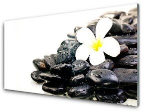 Obraz na skle Květiny Kameny Umění 140x70 cm