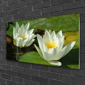 Obraz na skle Květiny Rostliny Příroda 140x70 cm