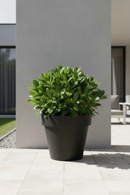 Květináč LEVANTA, plast, výška 128 cm, antracit
