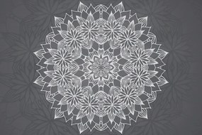 Samolepící tapeta Mandala s jarním motivem - 300x200 cm