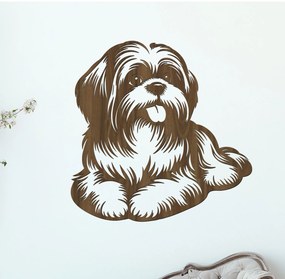 dřevo života Dřevěný obraz ležícího Shih Tzu Zvolte rozměr (cm): 40x40, Zvolte barvu dekoru: Ořech