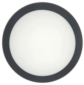 LED Stropní svítidlo se senzorem pohybu LED/20W/230V 3000/4000/6500K IP54 antr