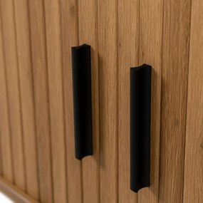 TV stolek Trish 120 cm dub přírodní/černý