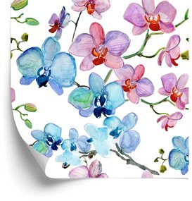 Tapeta Na Zeď Pro Salon Orchideje Květiny Přírodní Orchideje Vliesová tapeta 53x1000