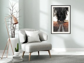 Plakát Cesta do lesa - krajina cesty a stromů s oranžovou loukou v pozadí