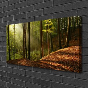 Obraz na plátně Les Stromy Příroda 140x70 cm
