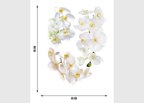 Samolepka na zeď Květy Orchideje | 65 x 85 cm | DF1068