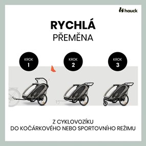 Hauck Bike N Walk Duo cyklovozík 3v1 light grey