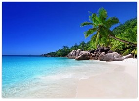 Skleněný obraz pláže na Praslin ostrově (70x50 cm)