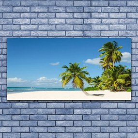 Plexisklo-obraz Pláž Palma Moře Krajina 120x60 cm