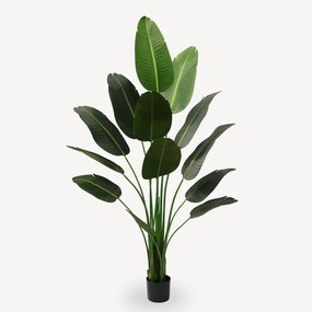 Umělá Ravanela 160 cm