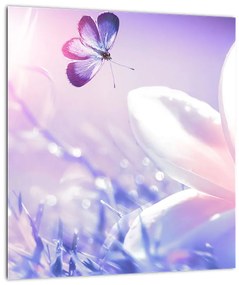 Obraz - Motýl přilítající na květ (30x30 cm)