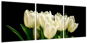 Bílé tulipány - obraz