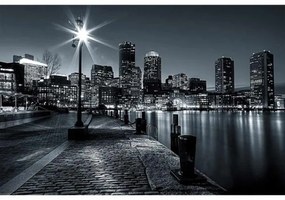 DIMEX | Vliesové fototapety na zeď Boston MS-5-0016 | 375 x 250 cm| černobílá
