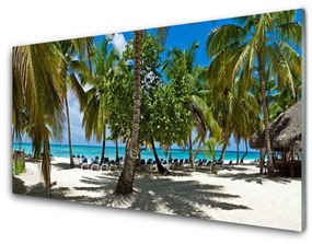 Obraz na skle Pláž Palma Stromy Krajina 100x50 cm