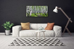Obraz na plátně Les Stezka Příroda 125x50 cm