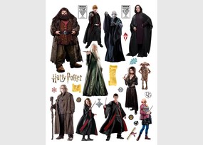 Dětská samolepka na zeď Harry Potter | 65 x 85 cm | DDK2335