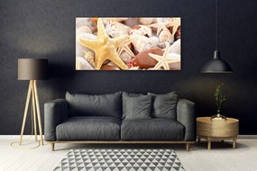 Plexisklo-obraz Hvězdice Mušle Pláž 120x60 cm
