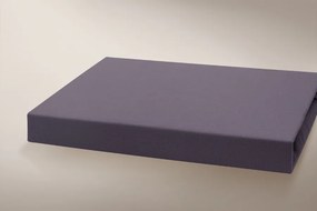 Kneer Prostěradlo Fein Jersey Flieder Rozměr: 90x190-100x200 cm