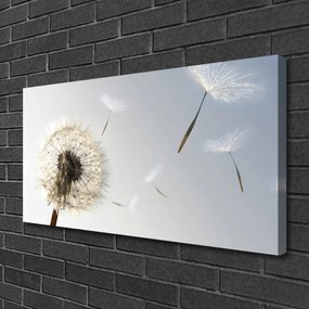 Obraz na plátně Pampeliška Květiny Příroda 125x50 cm