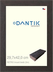 DANTIK rámeček 29,7x42 | RETRO tmavě šedá (Plexi Čiré)