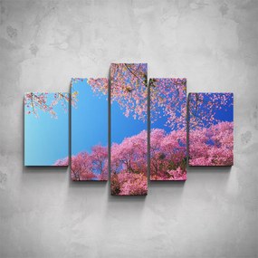 5-dílný obraz - Květy sakury - PopyDesign