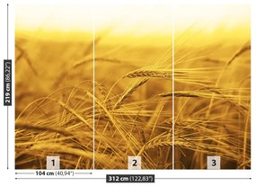 Fototapeta Pšeničné pole 104x70