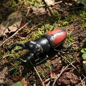 RAPPA Figurka Roháč / Hmyz / 7 cm / plast