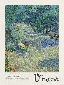 Obrazová reprodukce Olive Orchard - Vincent van Gogh