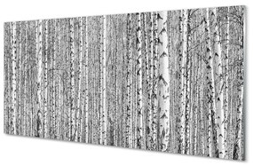 Obraz na skle Černá a bílá strom les 100x50 cm